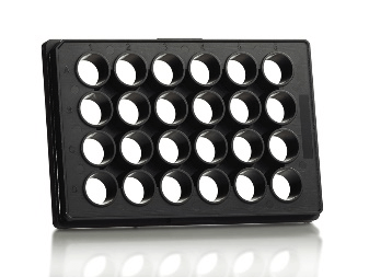 禮文股份有限公司(Mitek Lab Co., Ltd.)