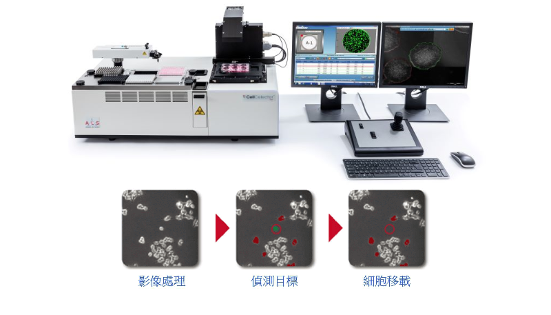 禮文股份有限公司(Mitek Lab Co., Ltd.)